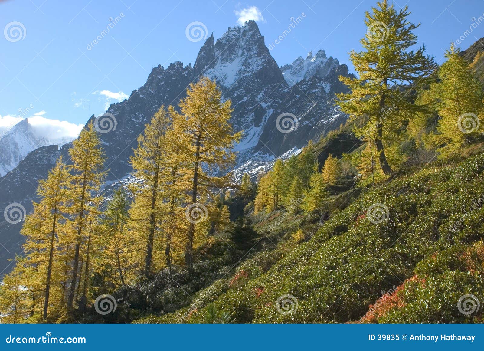 Fall colors stock image. Image of colors, alps, seasonal - 39835