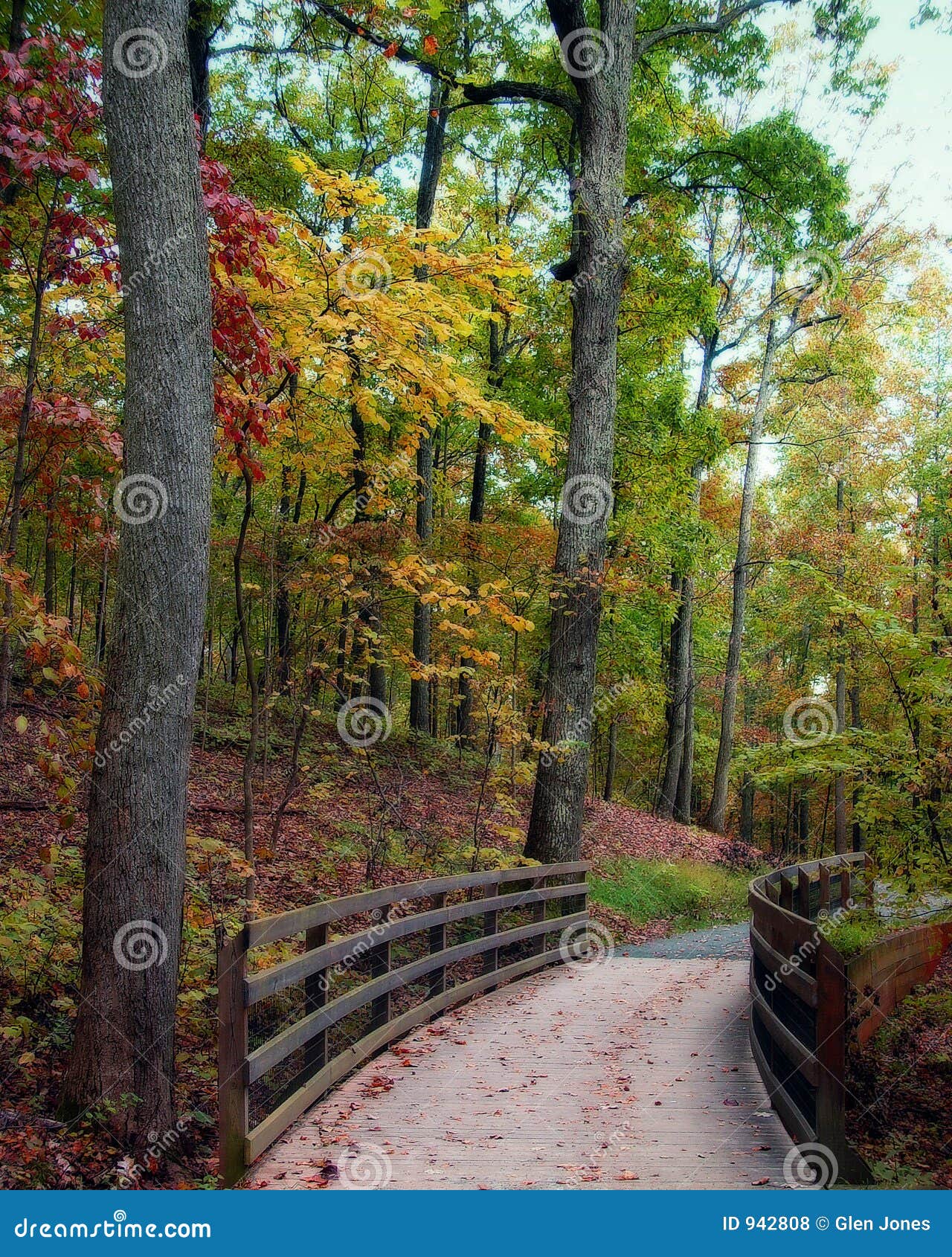 Fall colors stock photo. Image of pathway, fall, autumn - 942808