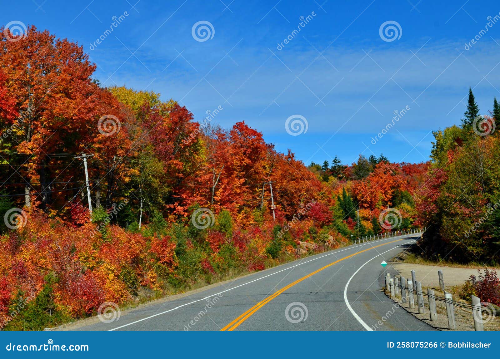 Fall Colors in Algonquin stock photo. Image of climate - 258075266