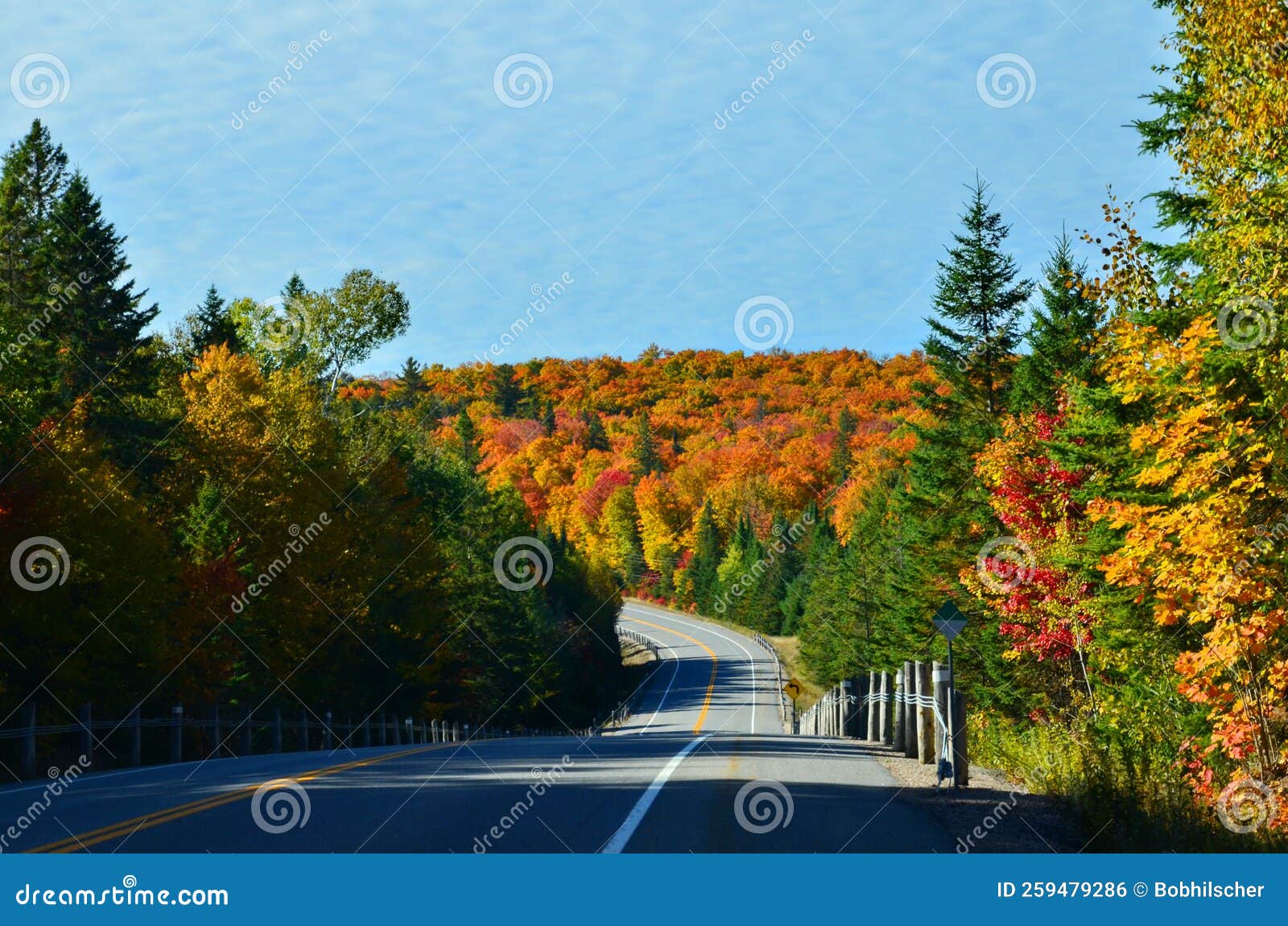 Fall Colors in Algonquin stock photo. Image of october - 259479286