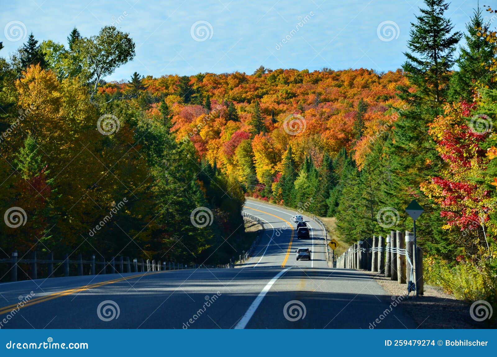 Fall Colors in Algonquin stock photo. Image of environment - 259479274