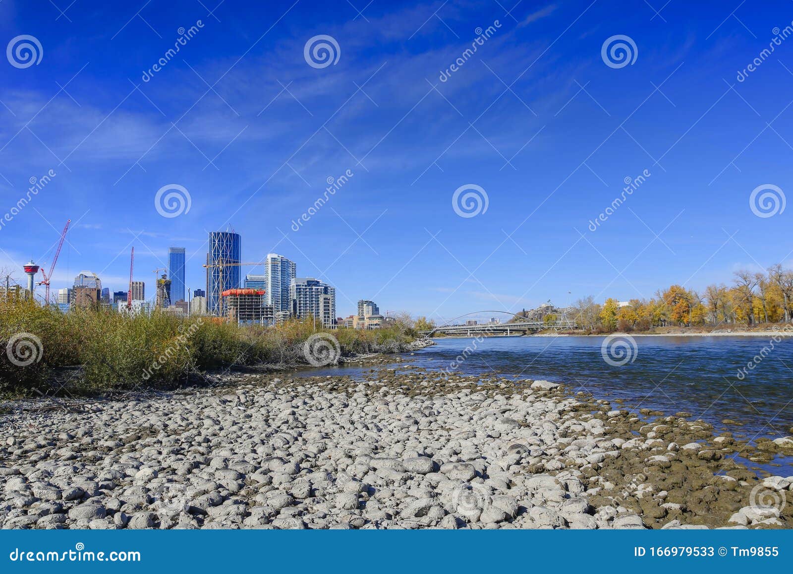 Fall Colors Along the Bow River in Calgary Alberta Stock Image - Image ...