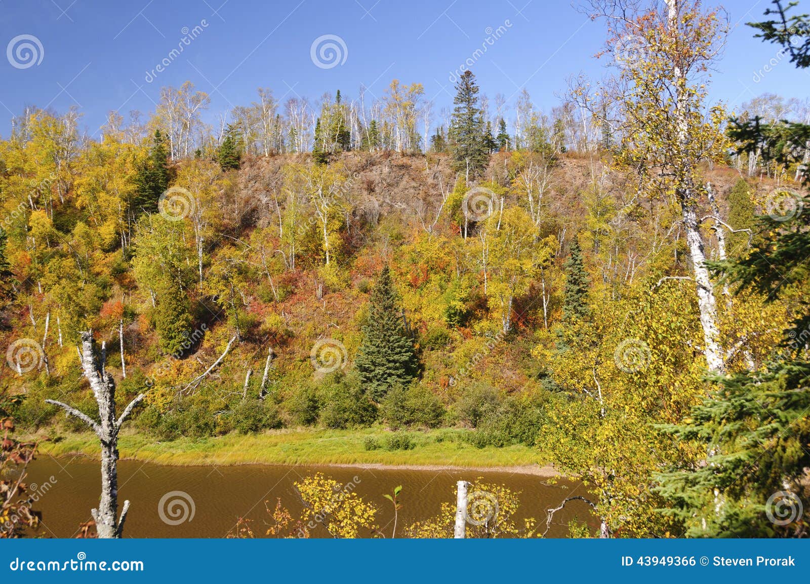 Fall Colors Along a Norht Woods River Stock Photo - Image of dramatic ...