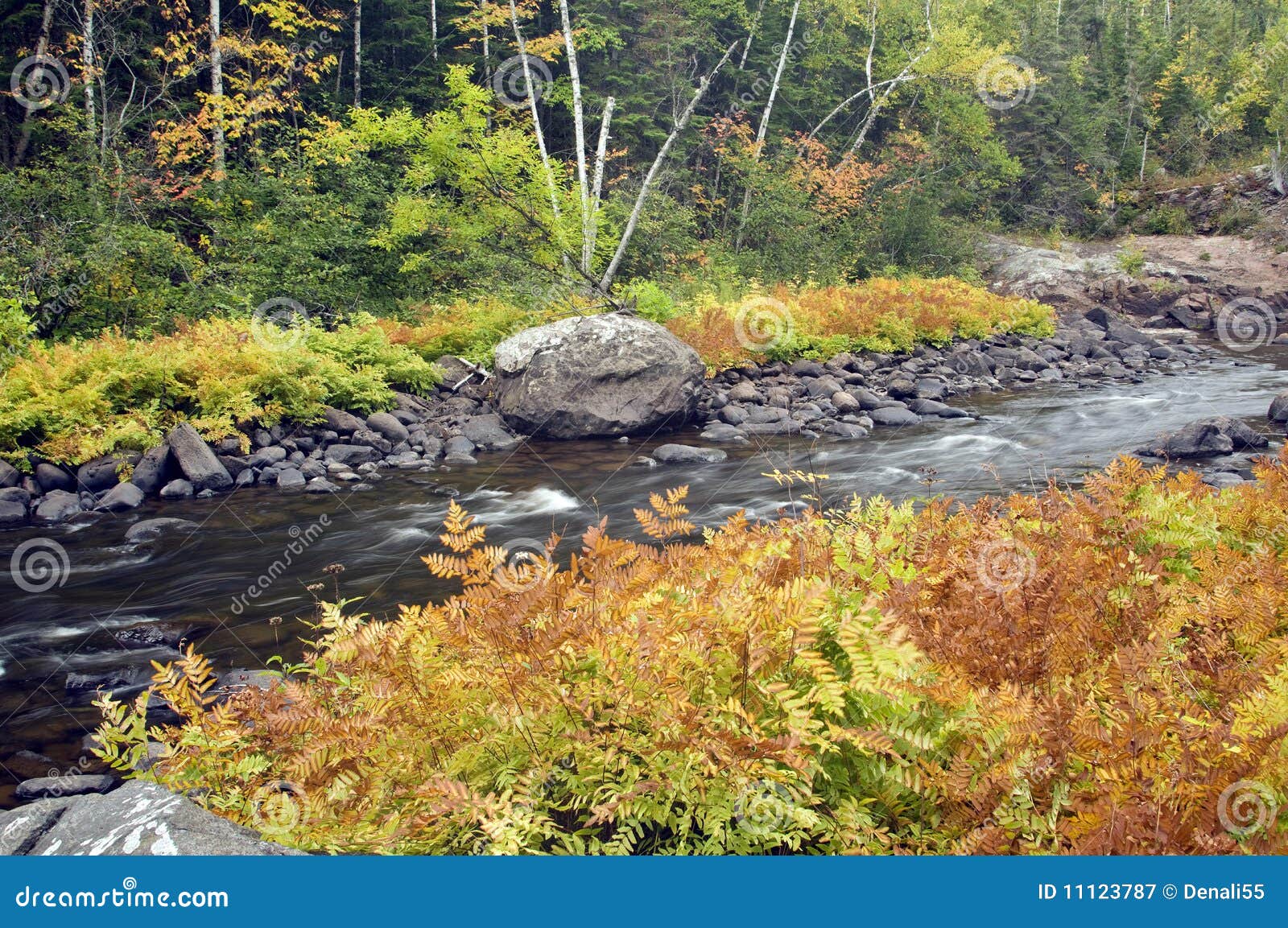 Fall colors along river stock image. Image of flowing - 11123787