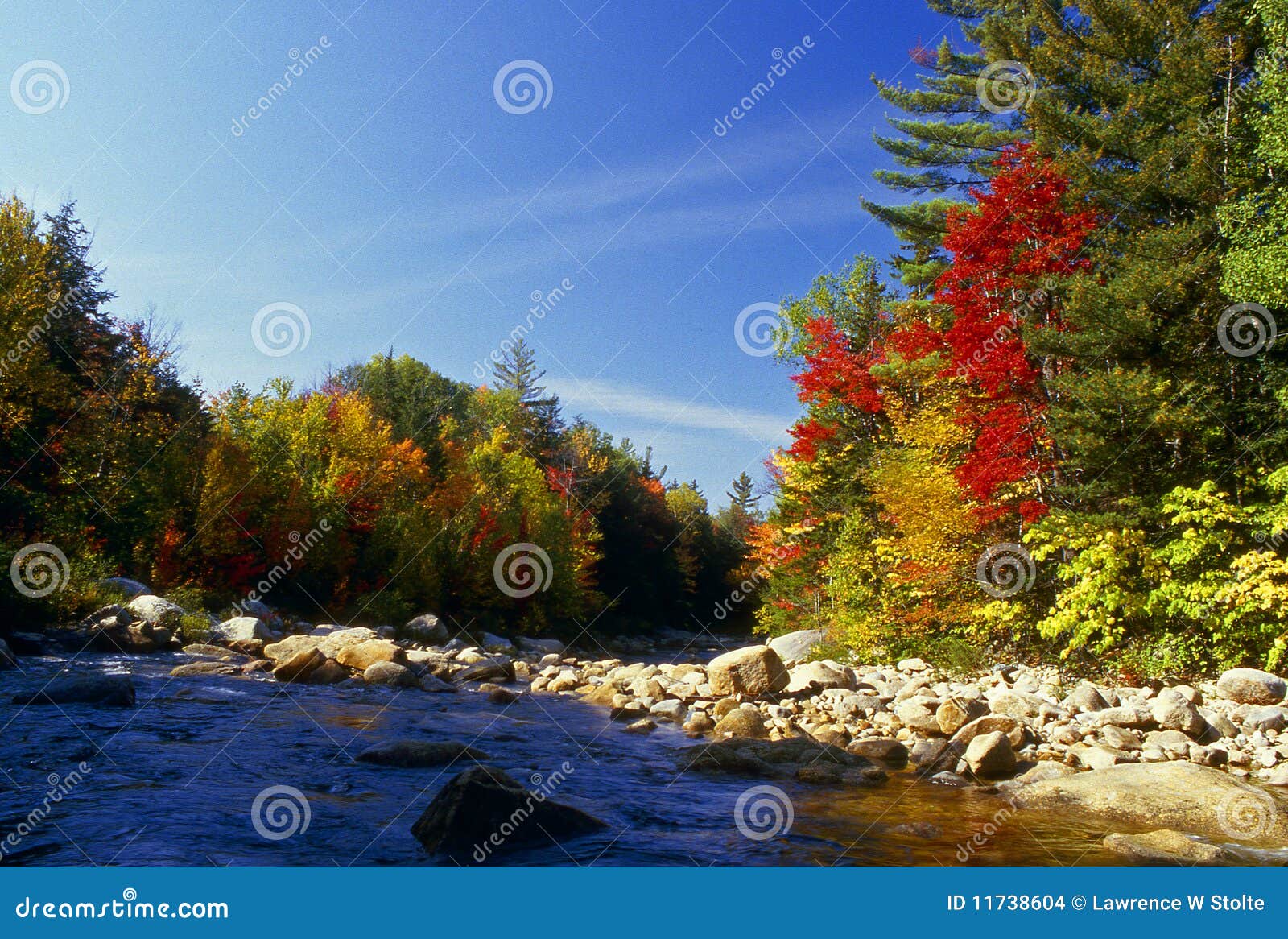 Fall Colors Along the River Stock Photo - Image of forest, water: 11738604