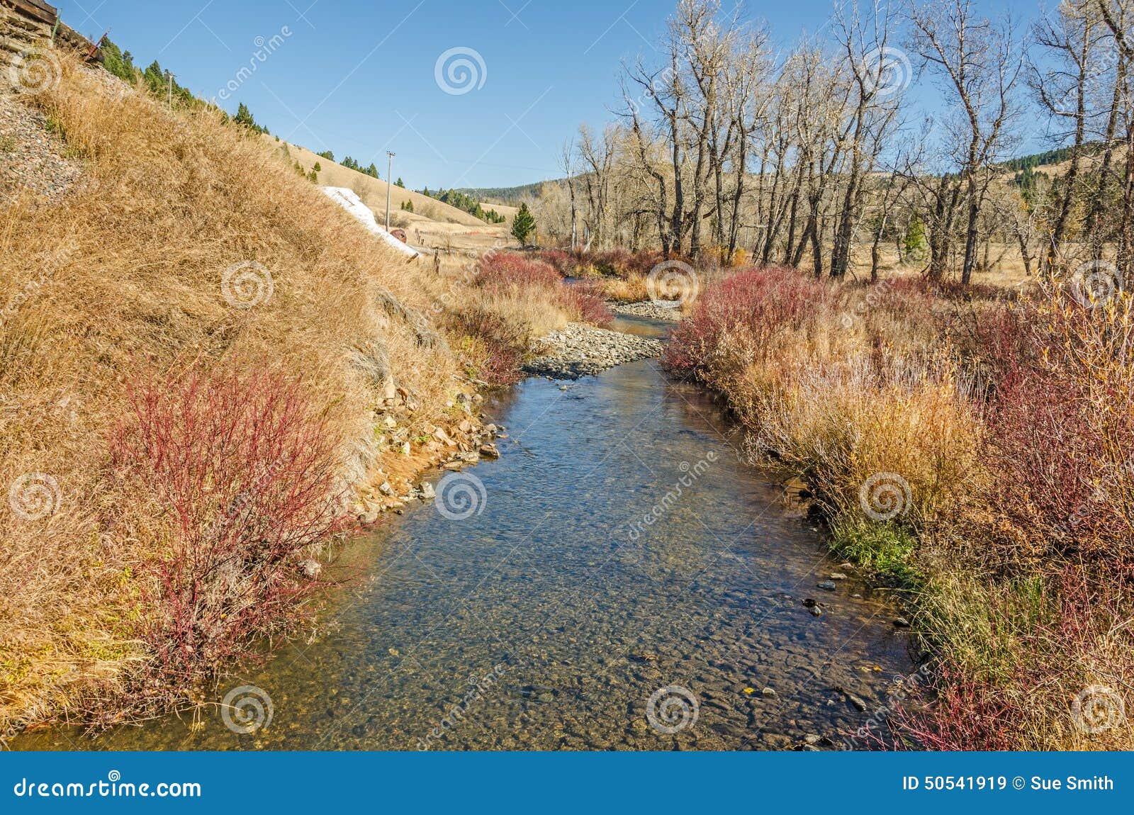 Fall Colors Along a Stream stock image. Image of colors - 50541919
