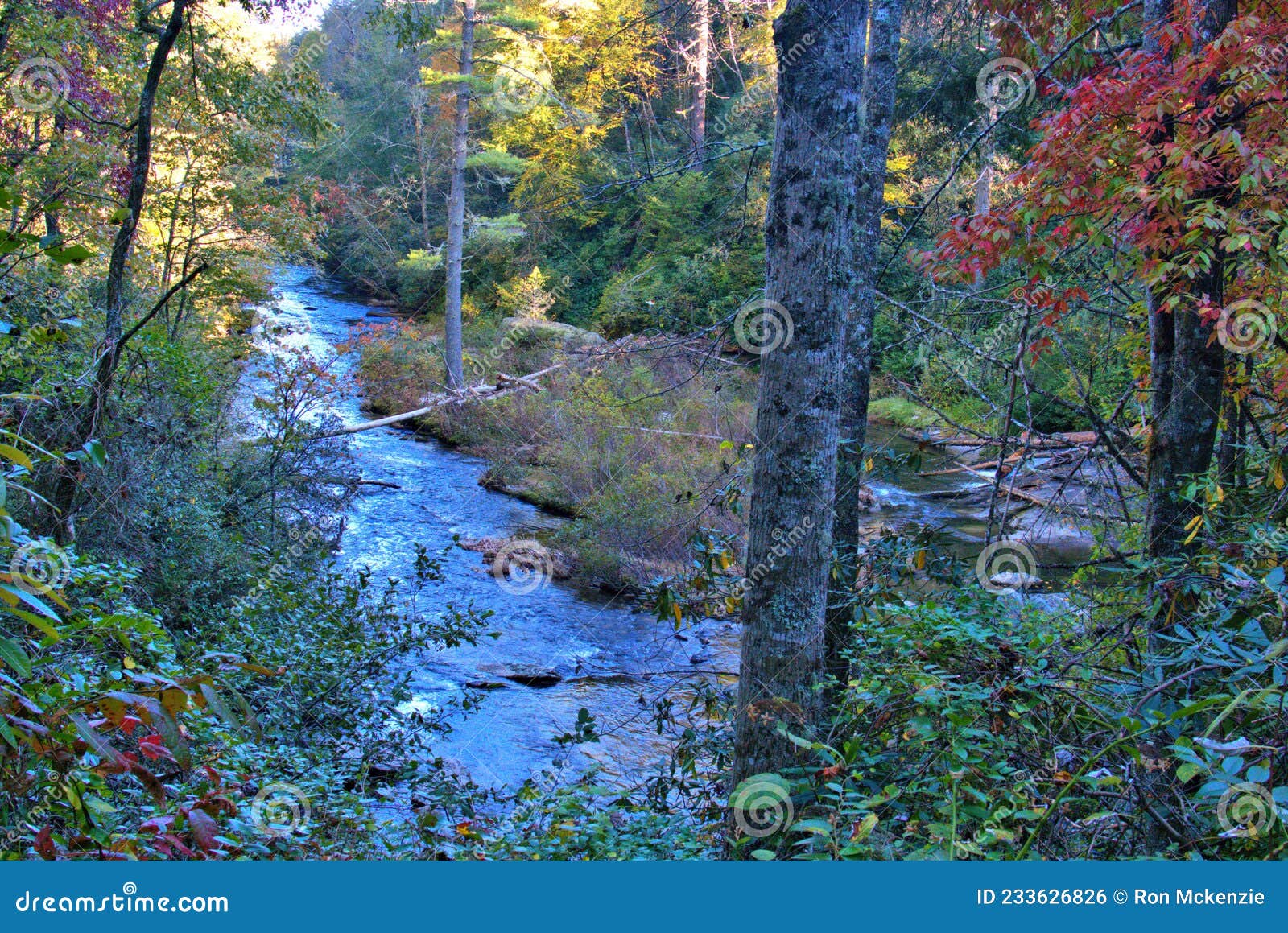 Fall Colors on the Blue River Parkway Stock Photo - Image of appalachia ...