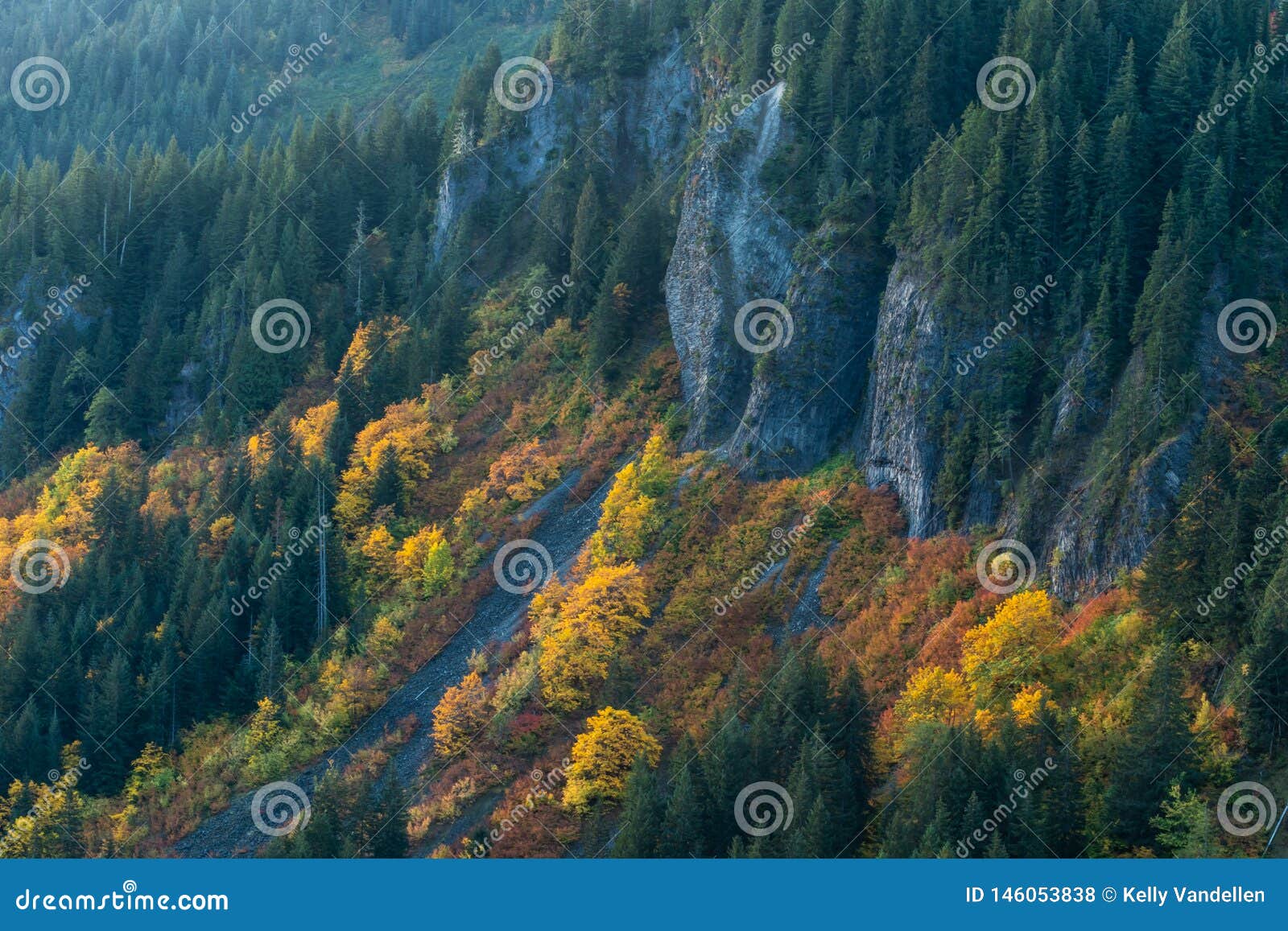Fall Colors in Brush Along Granite Cliff Stock Photo - Image of green ...