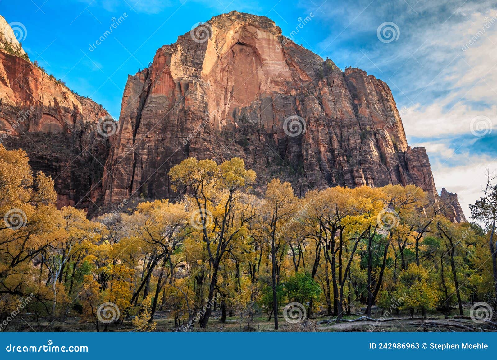 Fall Colors on the Cliffs of Zion, Zion National Park, Utah Stock Image ...