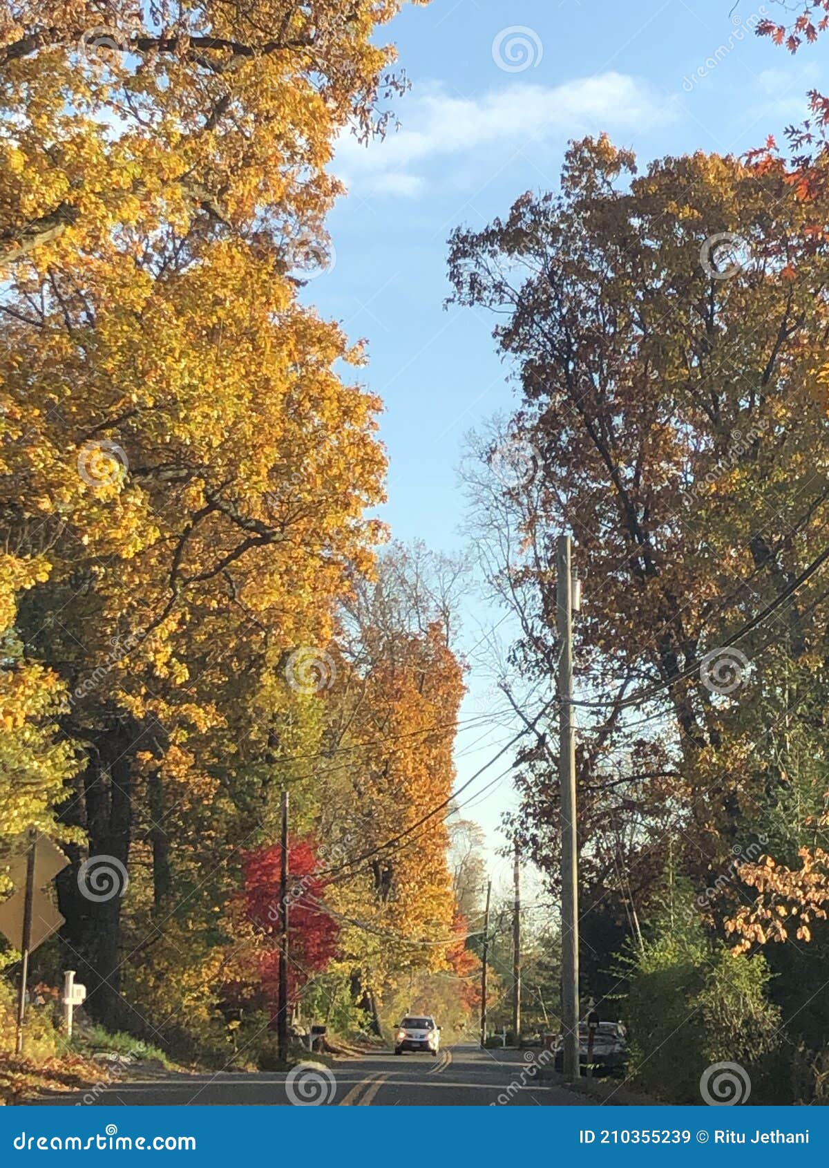 Fall Colors in Connecticut stock image. Image of colorful - 210355239