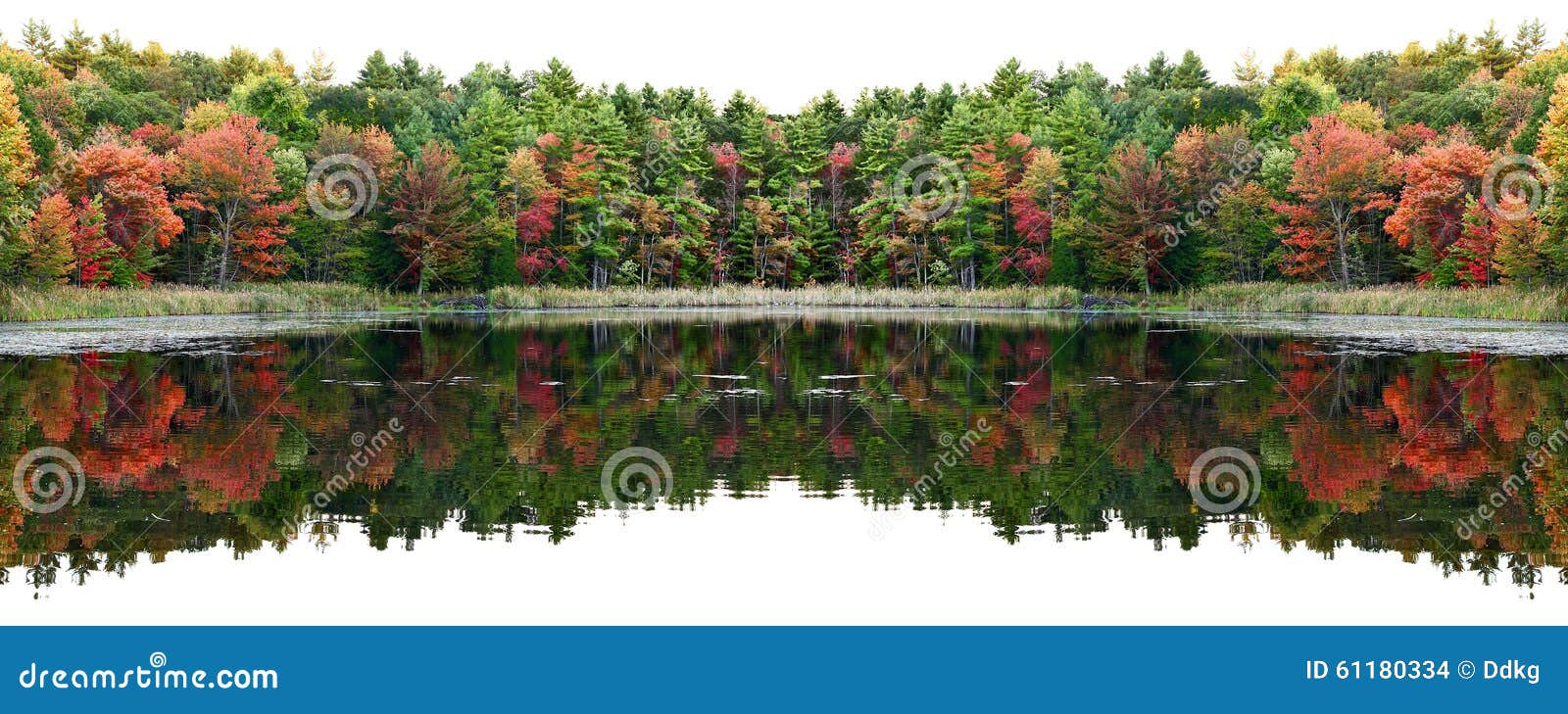 26,054 Reflection Banner Stock Photos - Free & Royalty-Free Stock ...