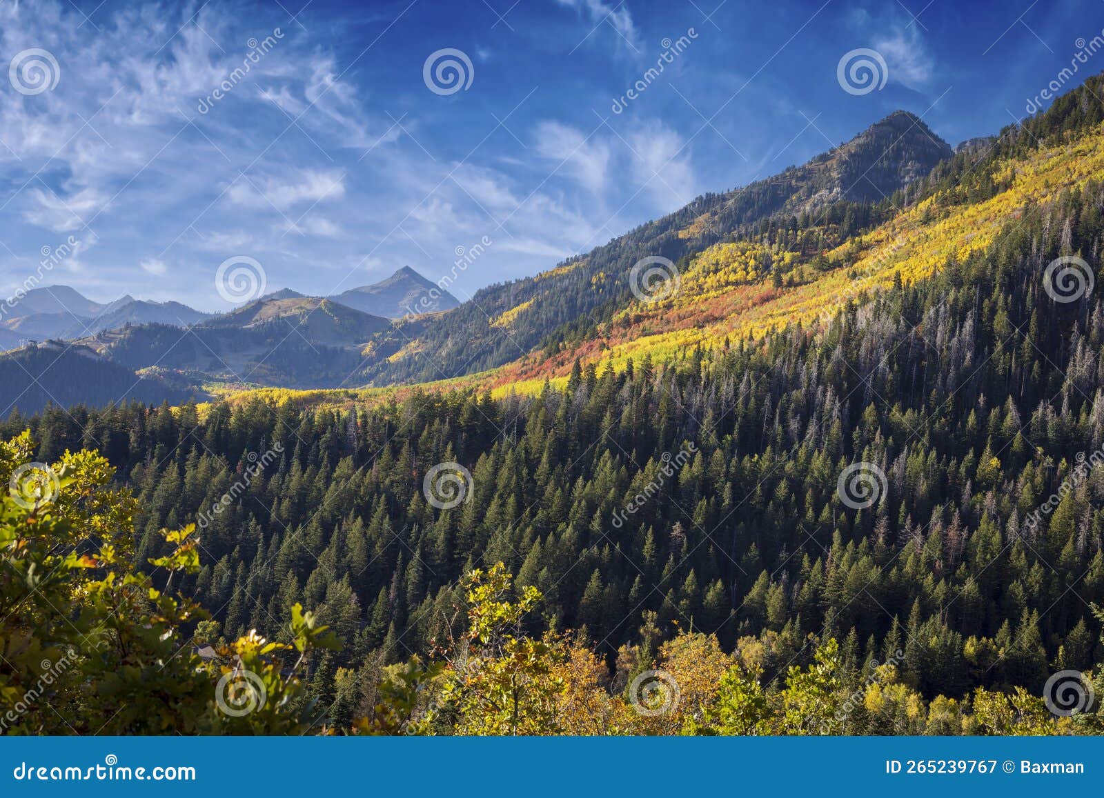 Fall Colors of the Eastern Slopes of the Wasatch Range Stock Image ...