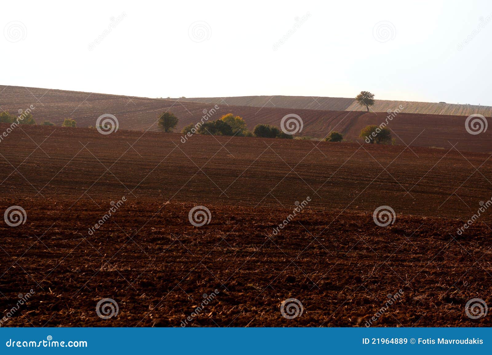 Fall colors in the field stock image. Image of hazy, peaceful - 21964889