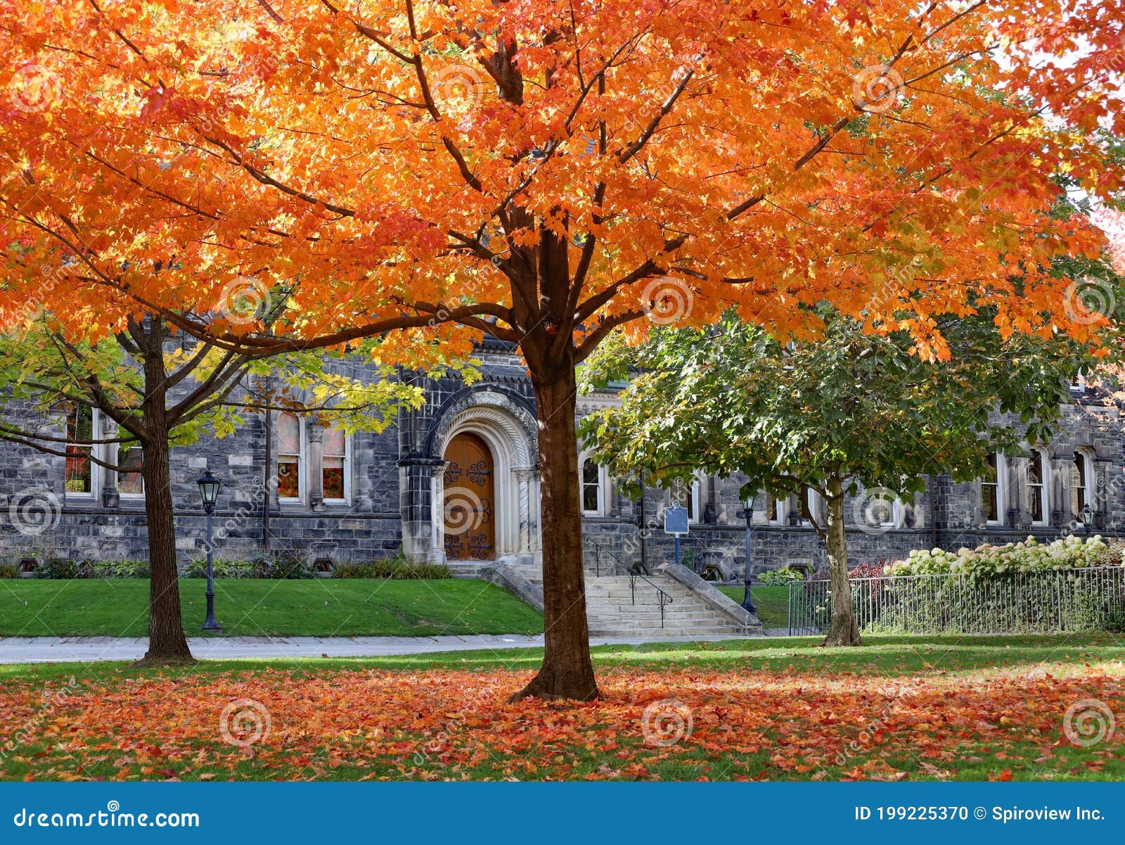Fall Colors in Front of Gothic Style Stone College Building Stock Photo ...