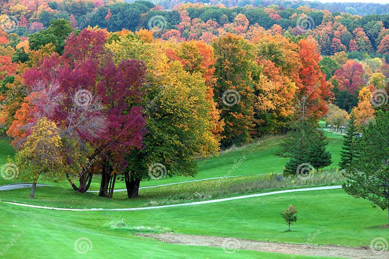 Fall colors in golf course stock photo. Image of rattlesnake - 27249034