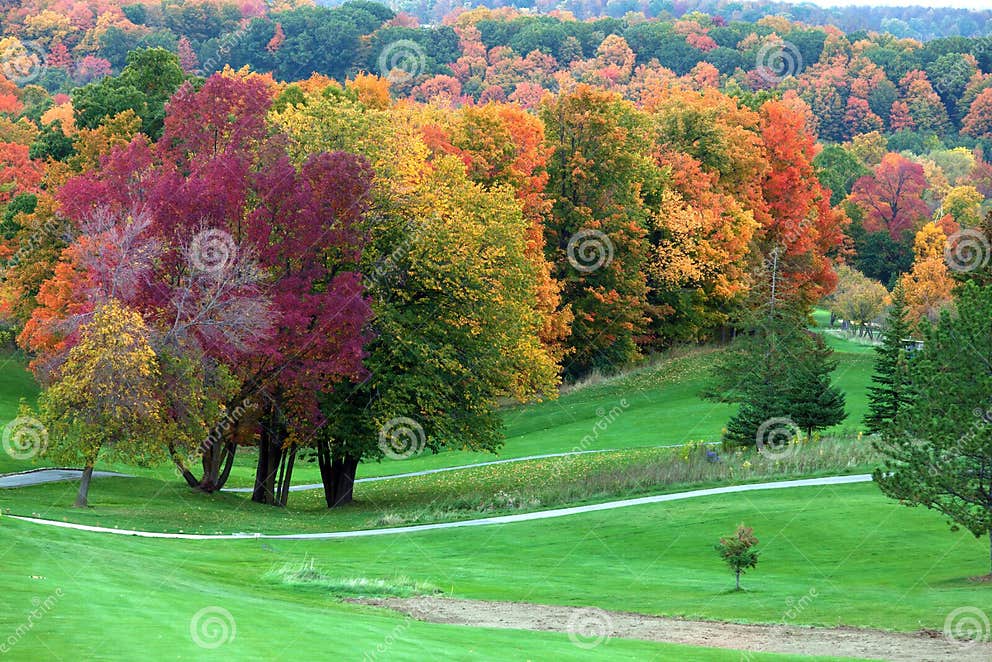 Fall colors in golf course stock photo. Image of rattlesnake - 27249034