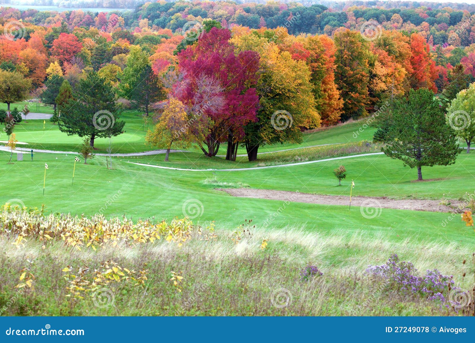 Fall colors in golf course stock photo. Image of scenic - 27249078