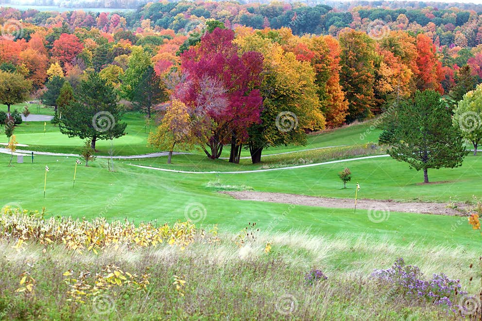 Fall colors in golf course stock photo. Image of scenic - 27249078