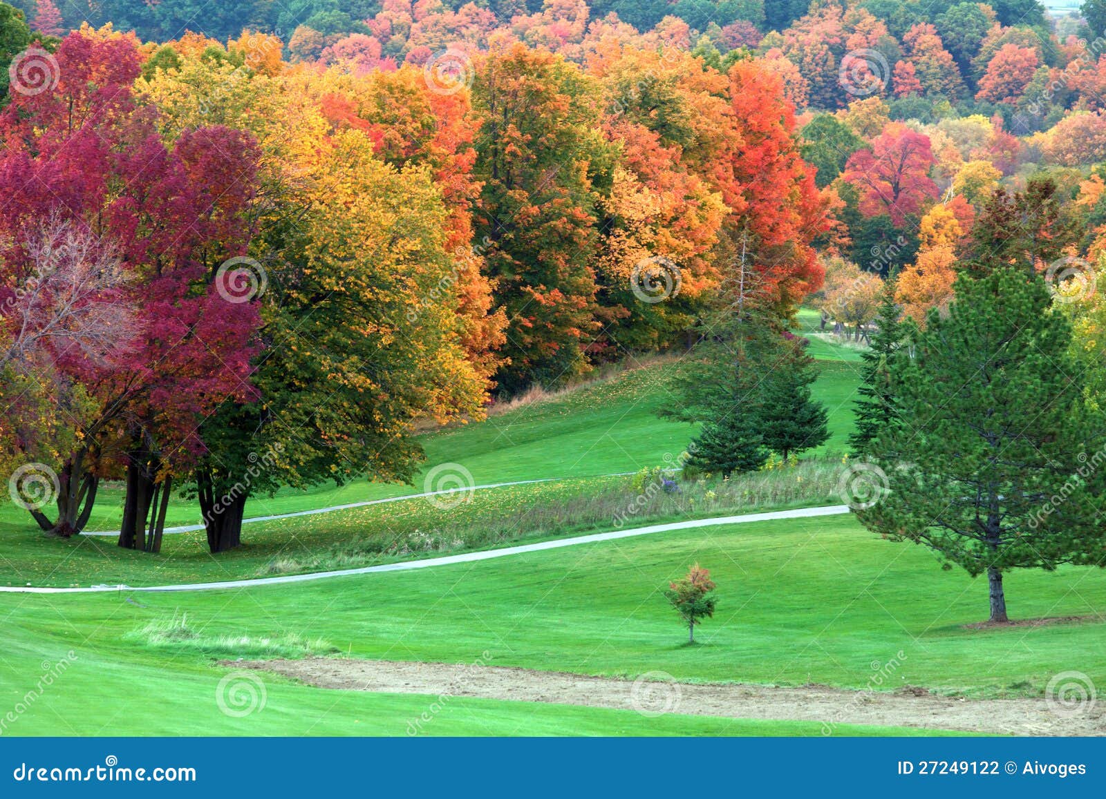 Fall colors in golf course stock photo. Image of curve - 27249122