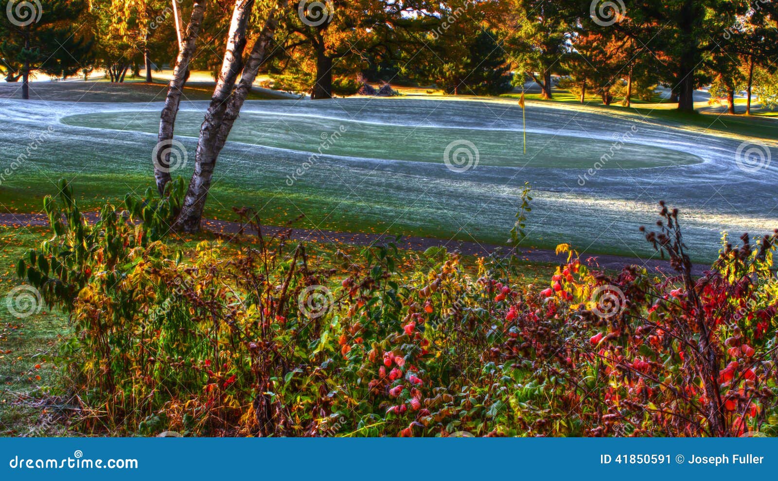 Fall Colors at the Golf Course in Hdr Stock Image - Image of morning ...