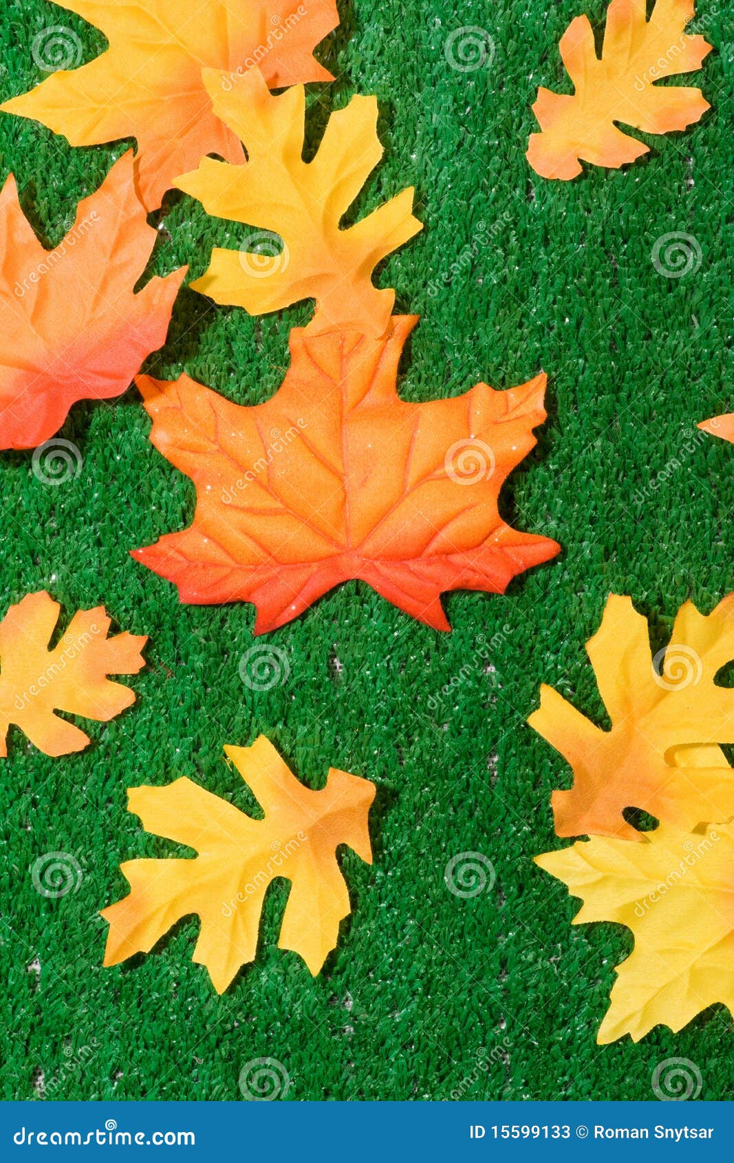 Fall colors on the grass stock image. Image of leaves - 15599133