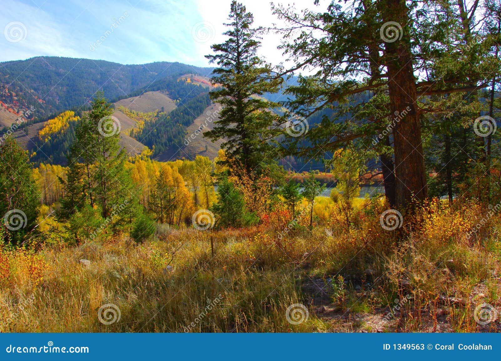 Fall Colors in the High Country Stock Image - Image of garnering ...