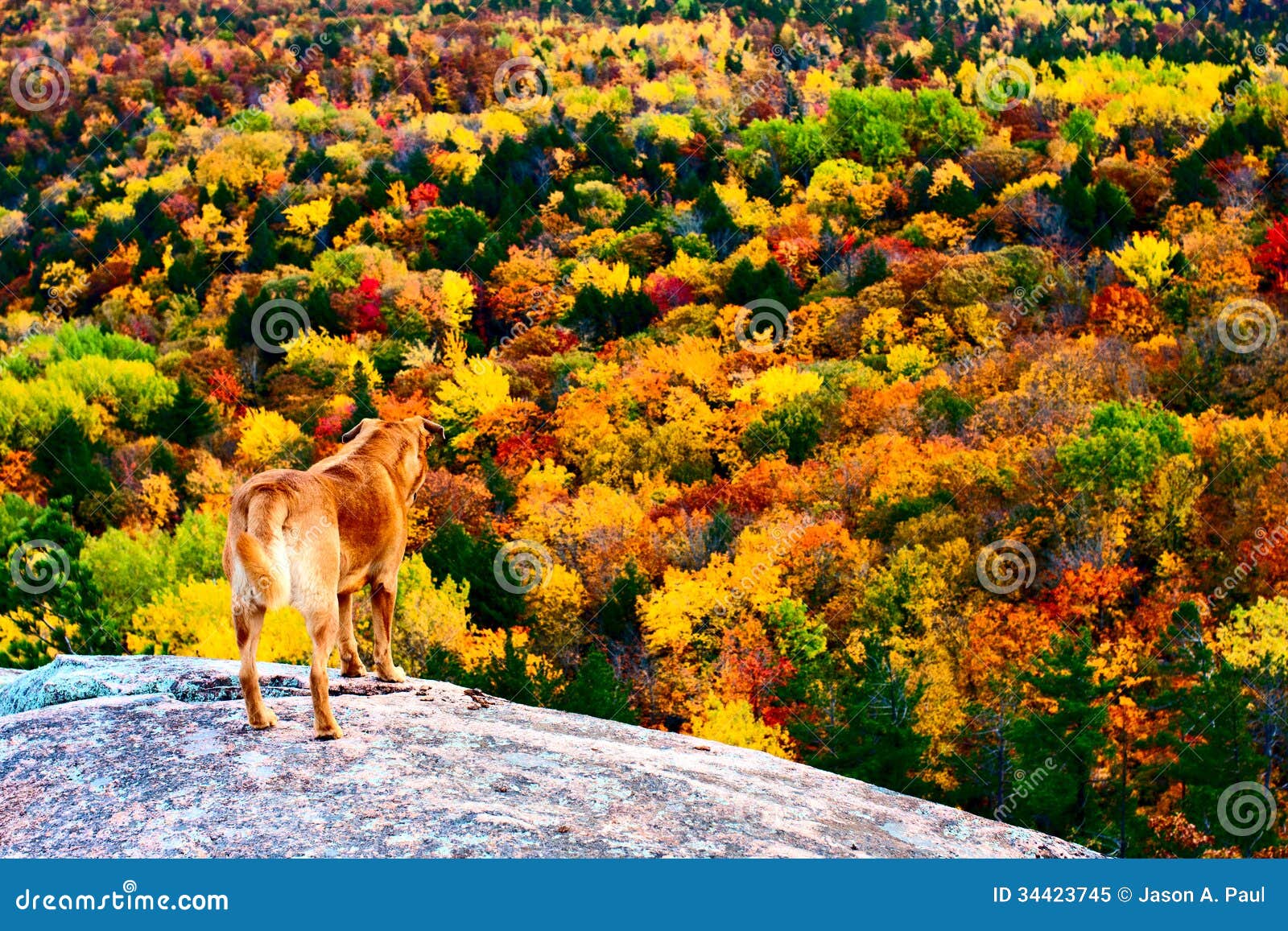 Fall Colors stock image. Image of hogback, beauty, color - 34423745