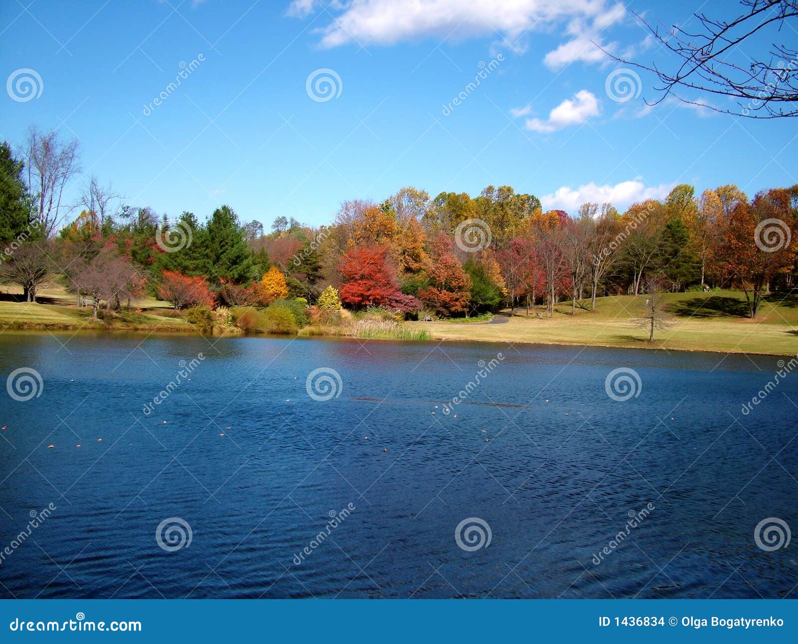 Fall Colors on the Lake stock photo. Image of path, green - 1436834