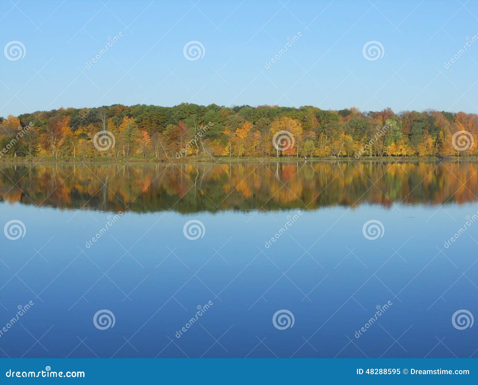Fall colors on lake stock image. Image of nature, october - 48288595