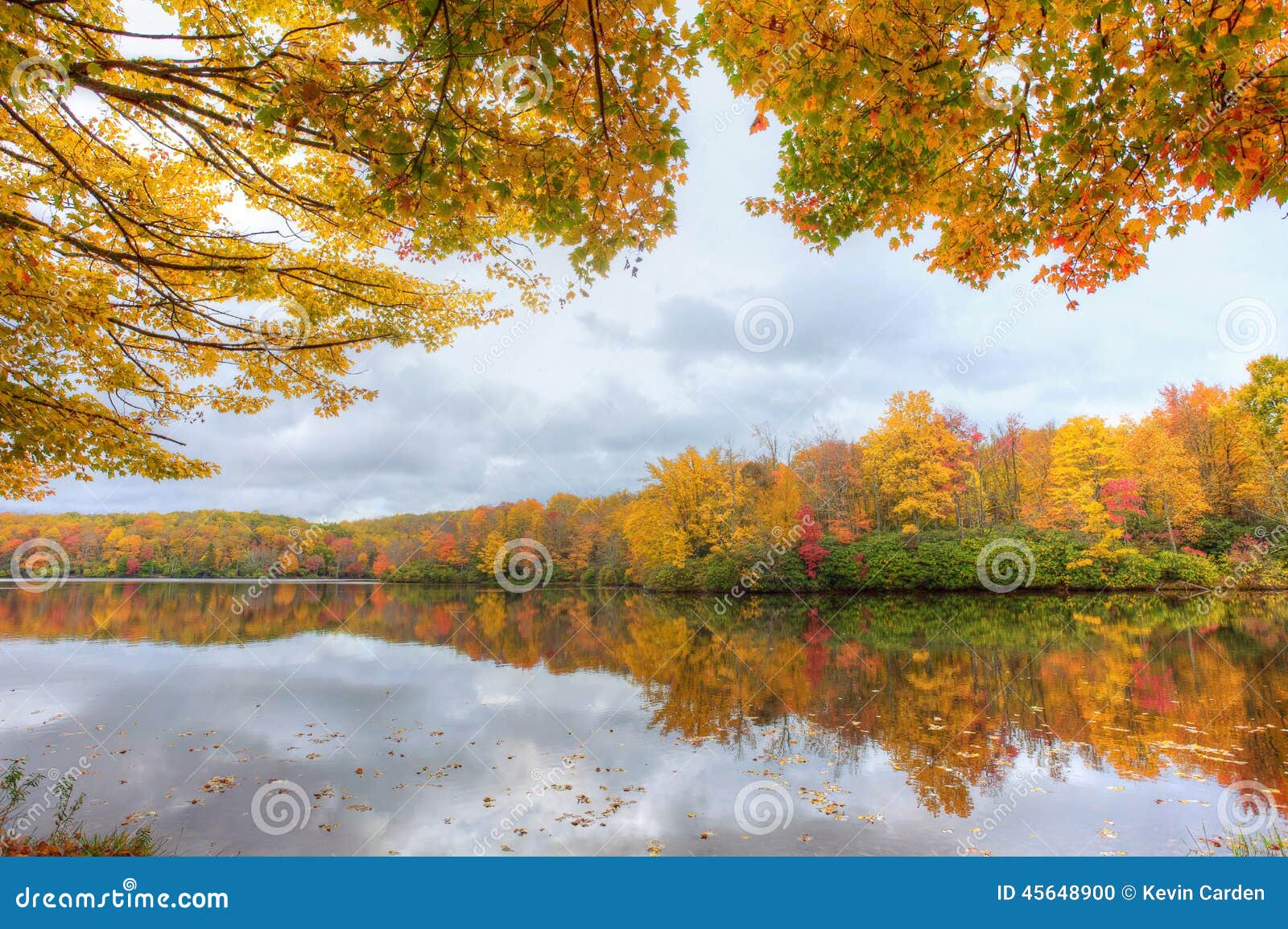 Fall colors on the lake stock photo. Image of maple, fall - 45648900