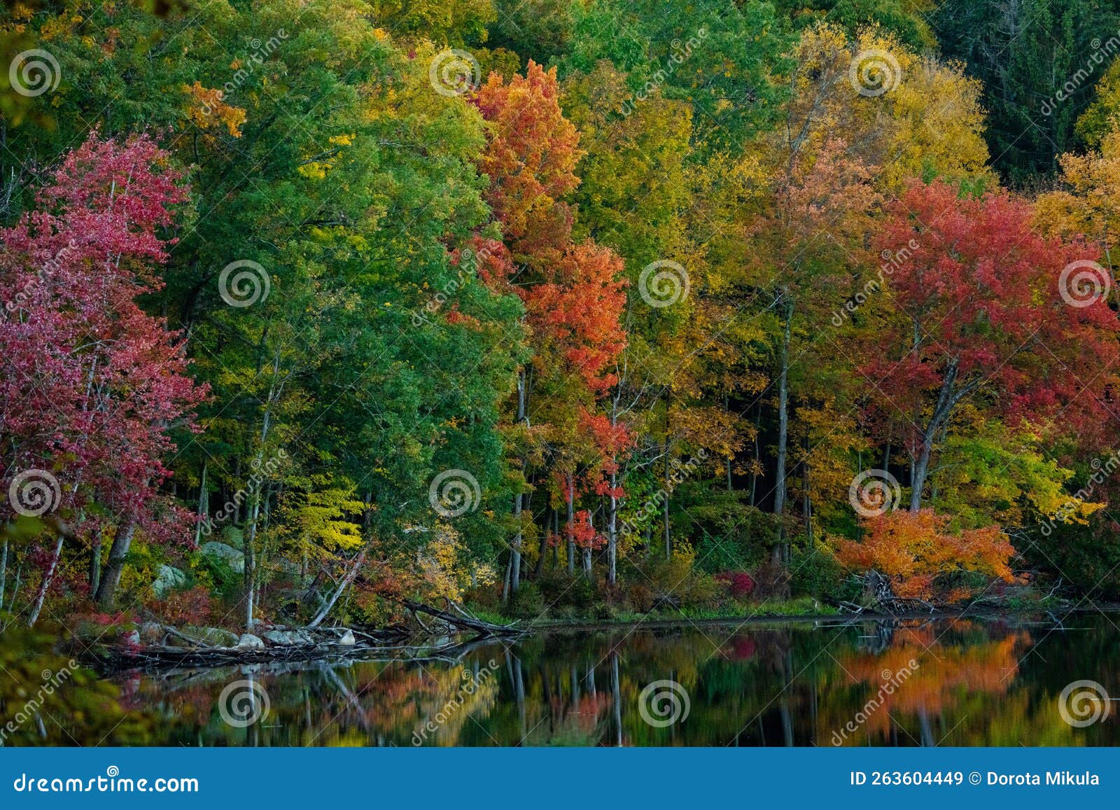 Fall Colors by the Lake in Upstate NY Stock Image - Image of colors ...