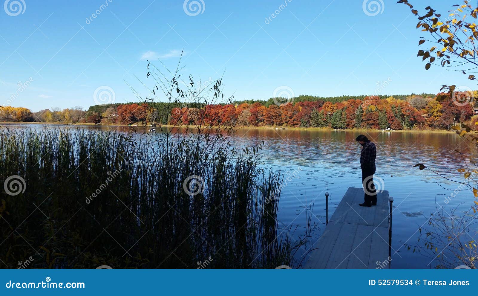 Fall colors on the lake editorial stock image. Image of autumn - 52579534