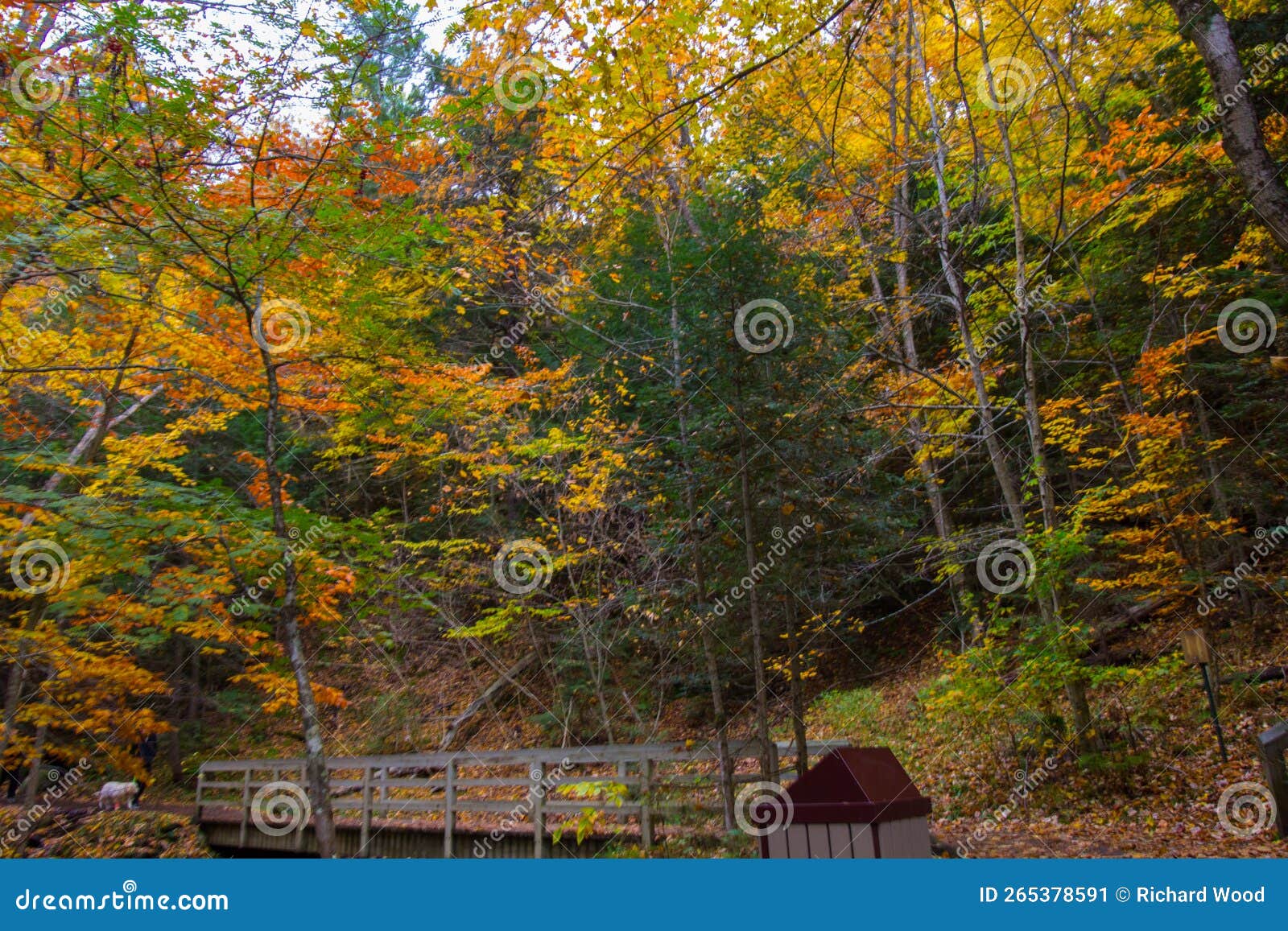 Fall Colors, Upper Peninsula of Michigan Stock Image - Image of autumn ...