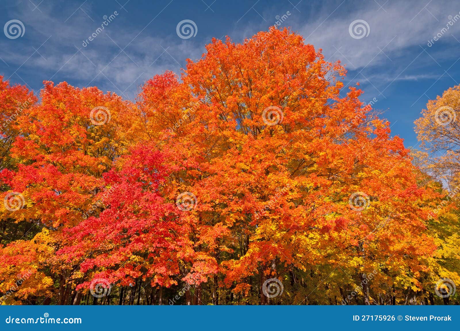 Fall Colors in the Midwest stock photo. Image of changing - 27175926