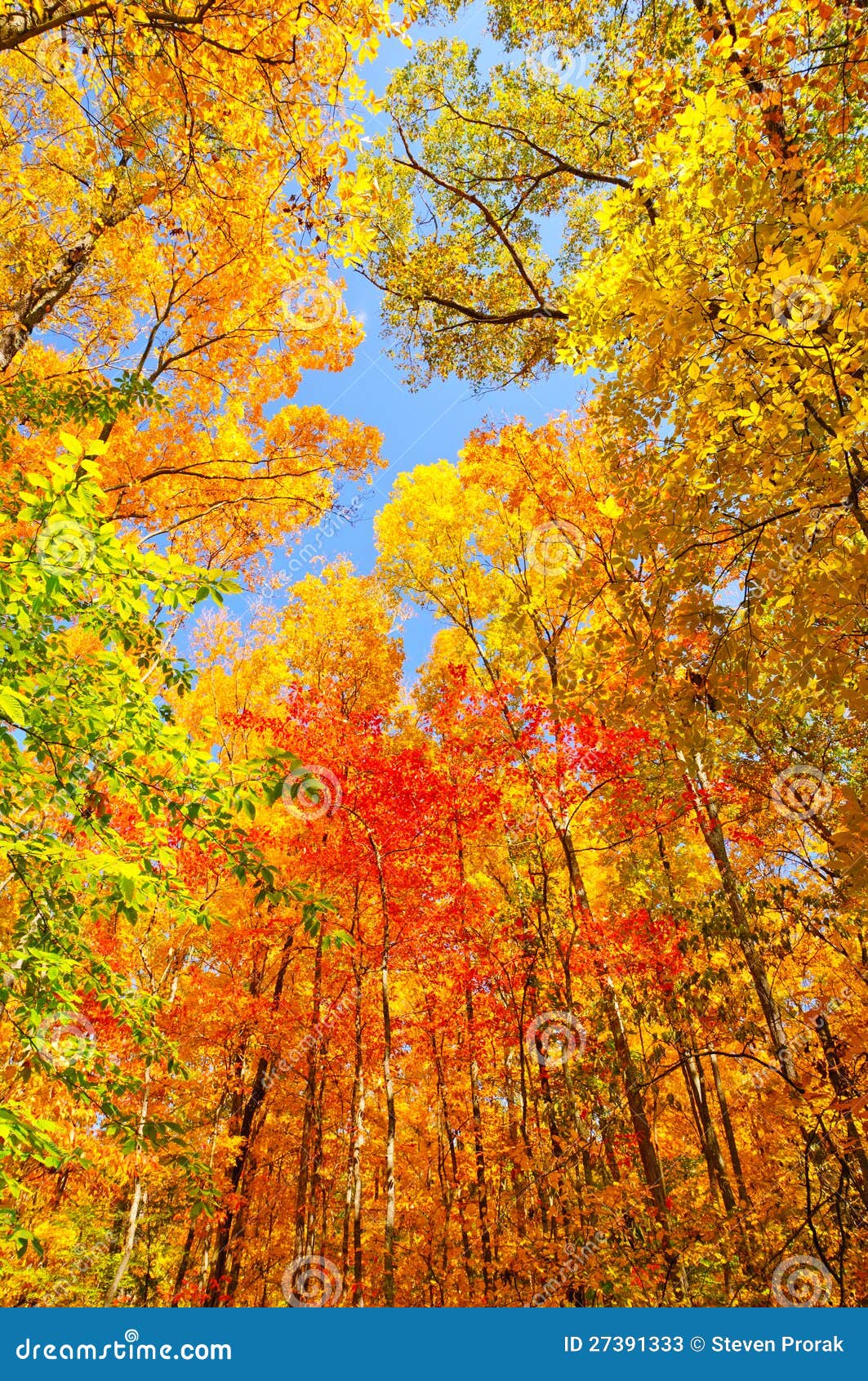 Fall Colors on a Midwest Trail Stock Image - Image of spectacular ...