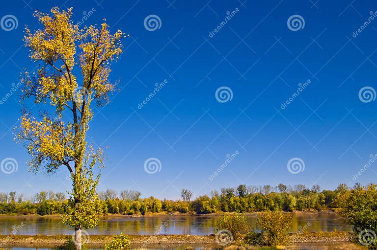 Fall Colors of the Missouri River. Stock Photo - Image of peaceful ...