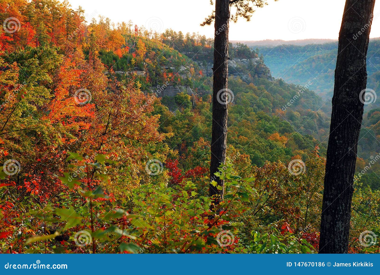 Fall Colors on a Mountain Ridge Stock Photo - Image of gorge, exterior ...