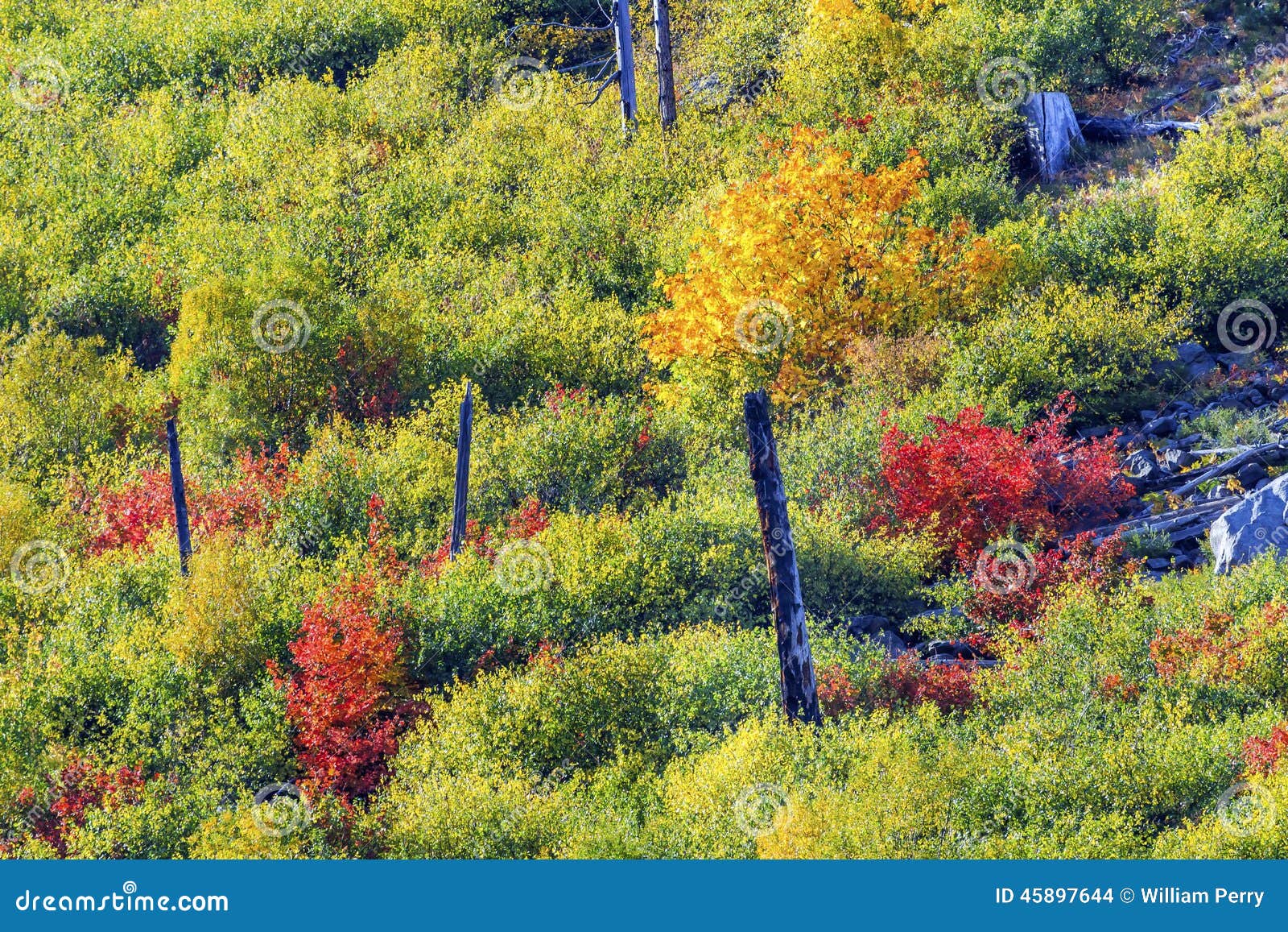 Stevens Pass Ski Resort Royalty-Free Stock Photography | CartoonDealer ...