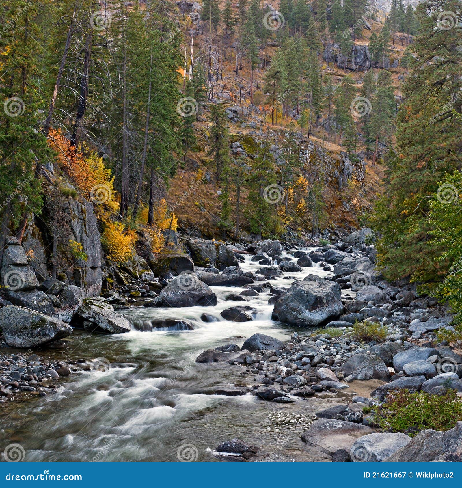 Fall Colors by Mountain Stream Stock Image - Image of pool, scenic ...