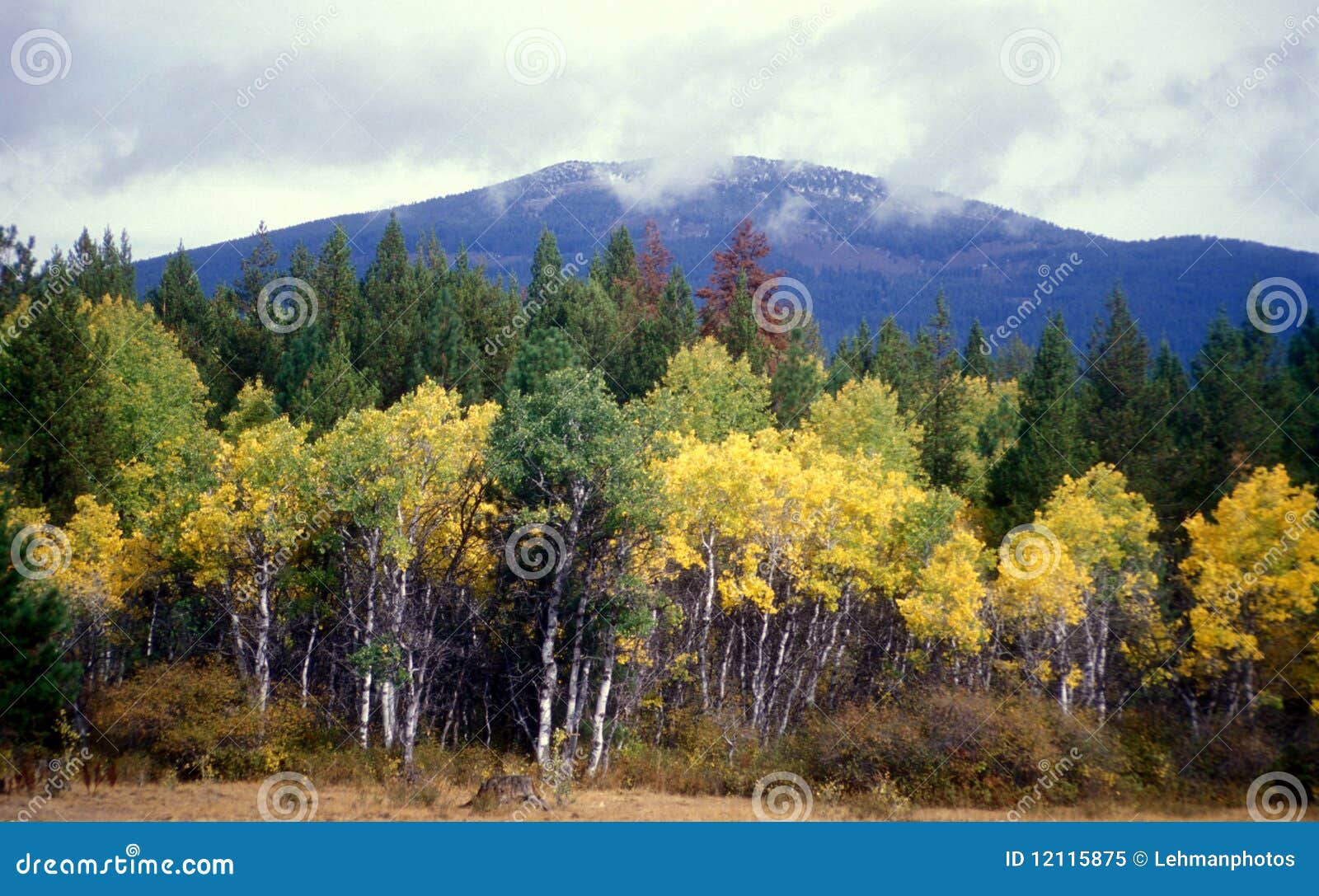Fall Colors in the Mountains Stock Image - Image of color, nature: 12115875