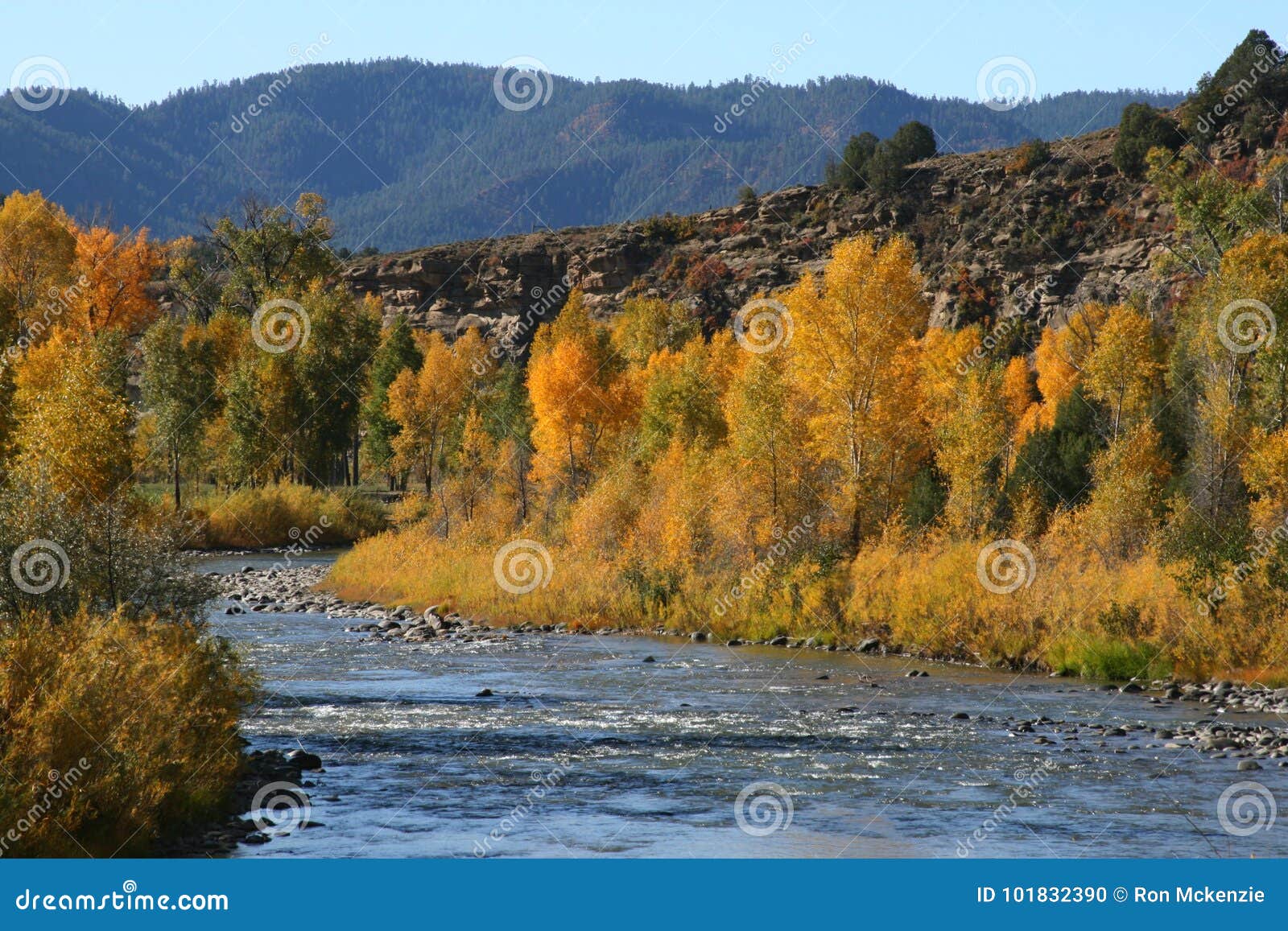 Fall Colors in the Mountains Stock Photo - Image of mountains, glory ...