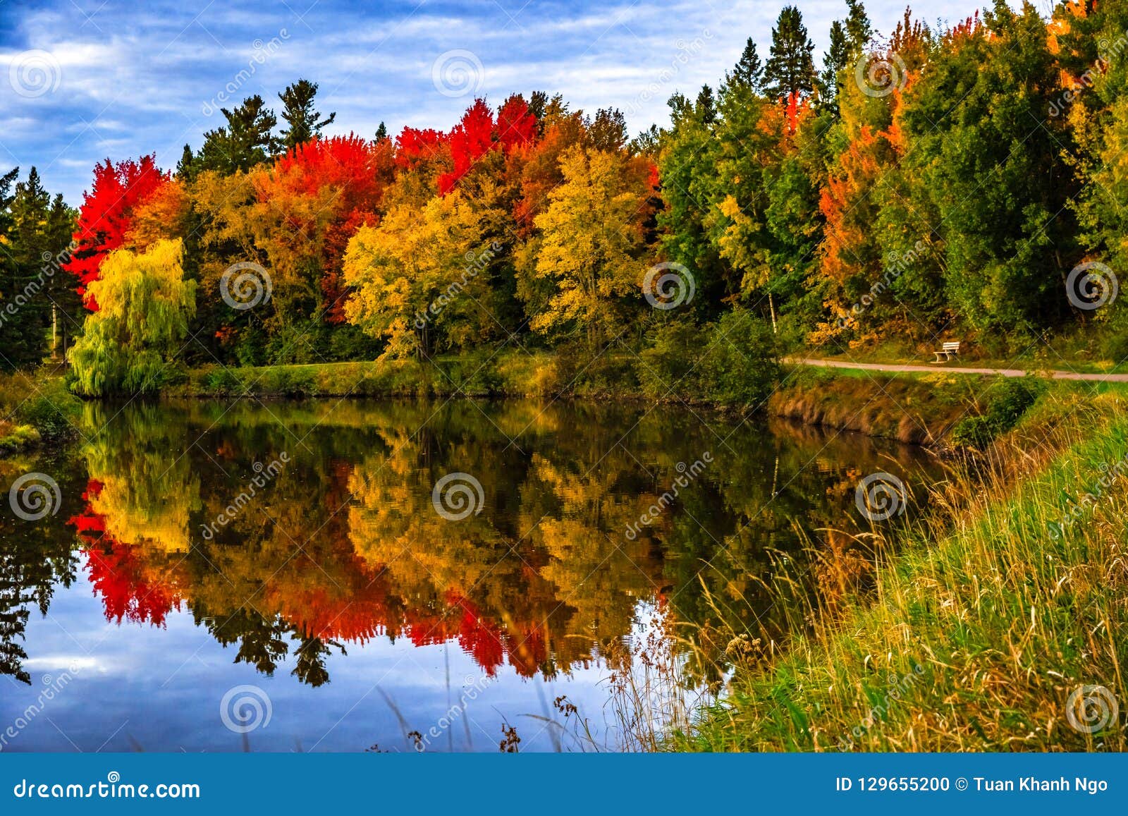 Fall Colors in New Brunswick, Canada Stock Photo - Image of greater ...