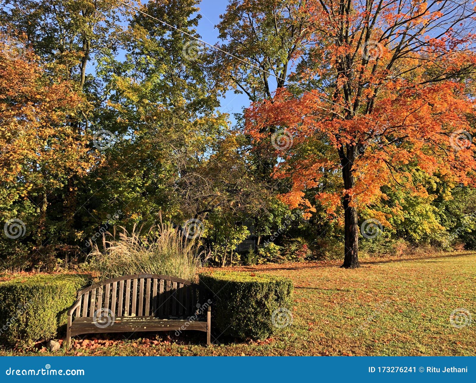 Fall Colors in Connecticut stock image. Image of climate - 173276241