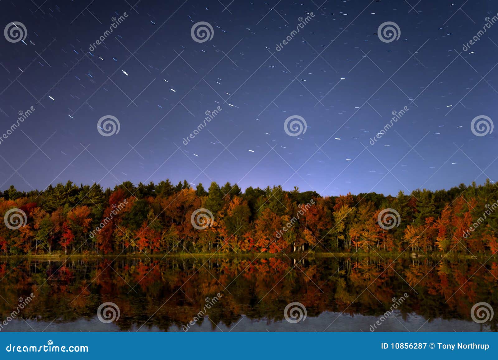 Fall colors at night stock image. Image of trails, night - 10856287