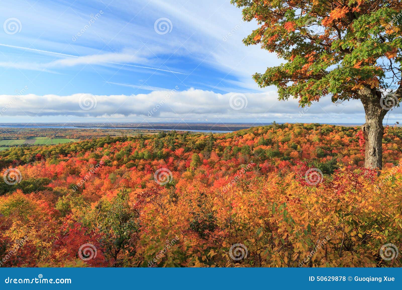 Fall colors stock photo. Image of colors, ottawa, cloud - 50629878