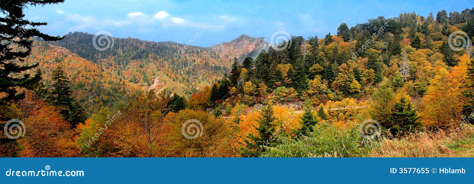 Fall Colors Panoramic stock image. Image of trees, reds - 3577655