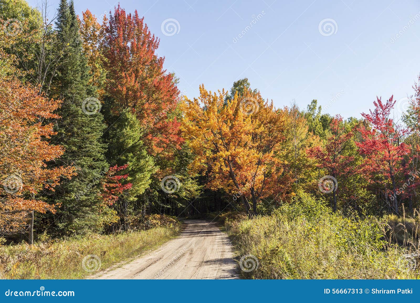 9,714 Colors Pathway Photos - Free & Royalty-Free Stock Photos from ...