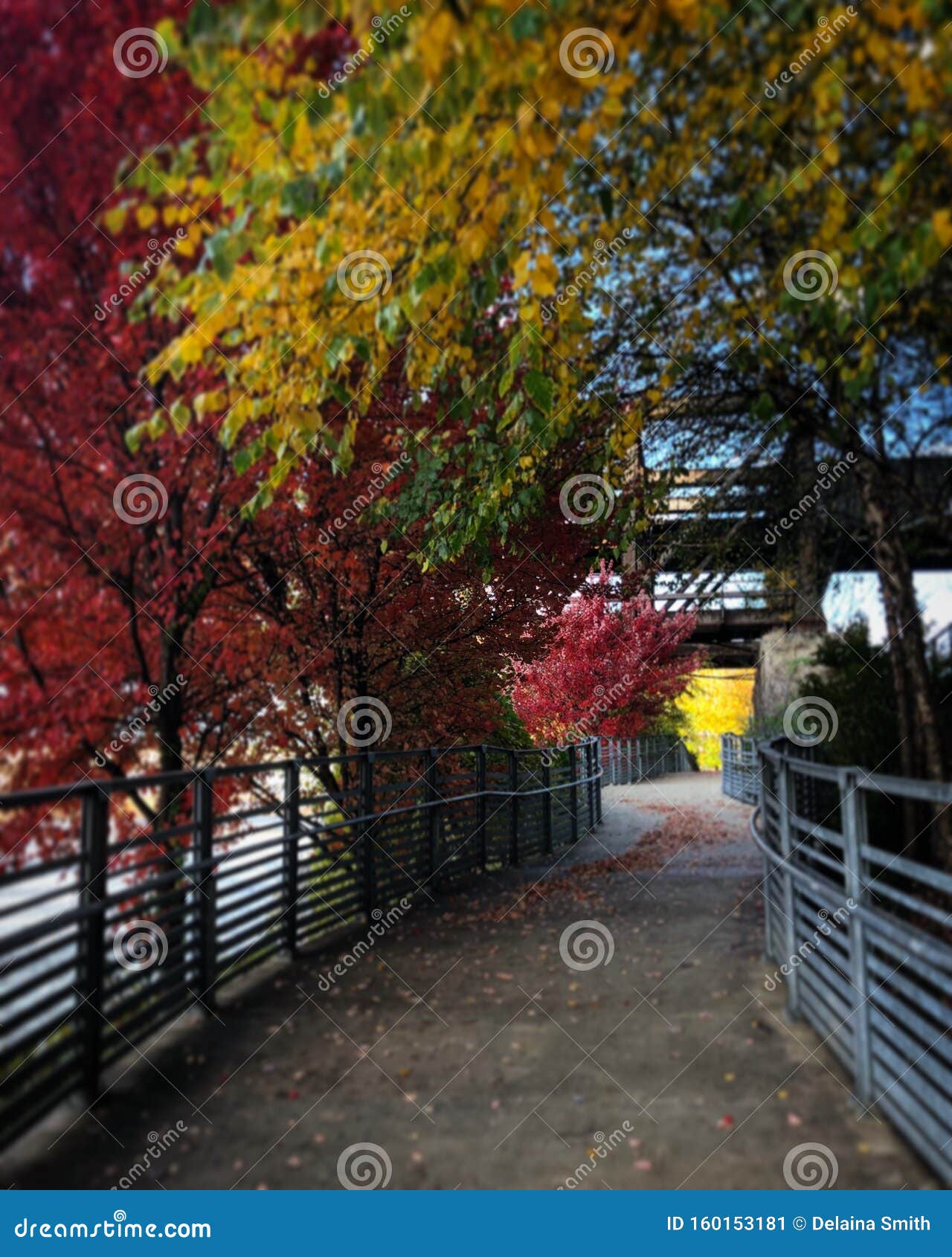 Fall Colors stock image. Image of pittsburgh, walkway - 160153181