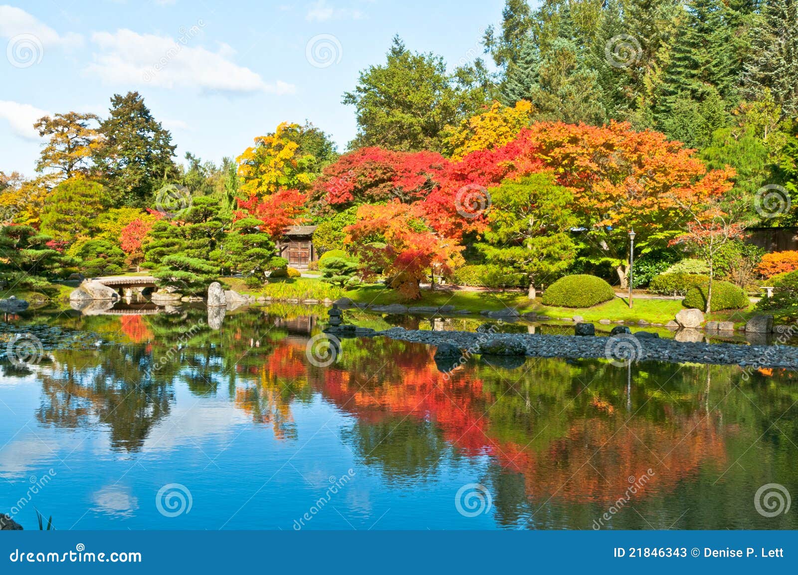 Fall Colors Reflected in Pond Stock Image - Image of lake, relaxation ...
