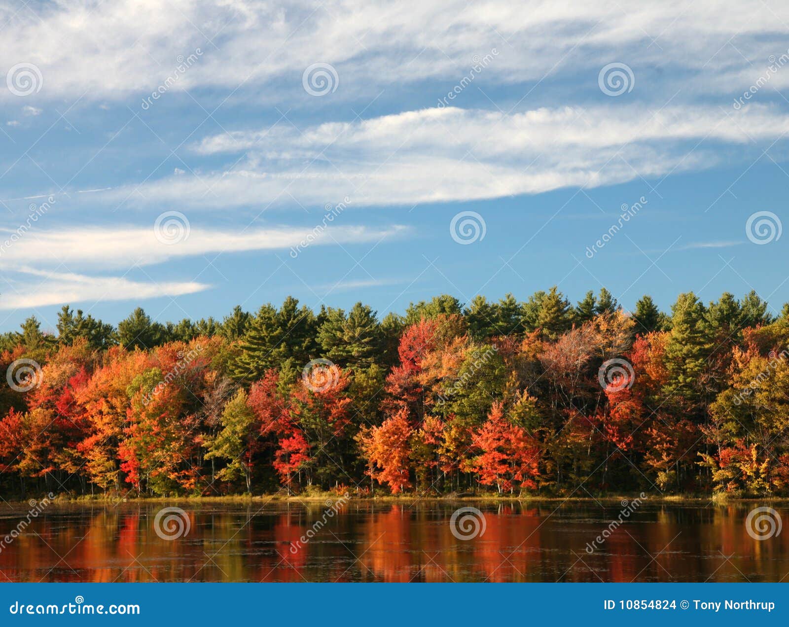 Fall Colors Reflecting on a Pond Stock Photo - Image of trees ...